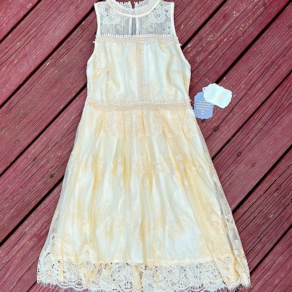 Altar'd State | Dresses | Alterd State Cream Lace Dress | Poshmark